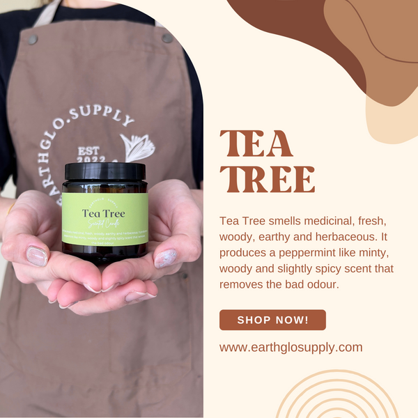 LT X EarthGlo Tea Tree Candle 120ML